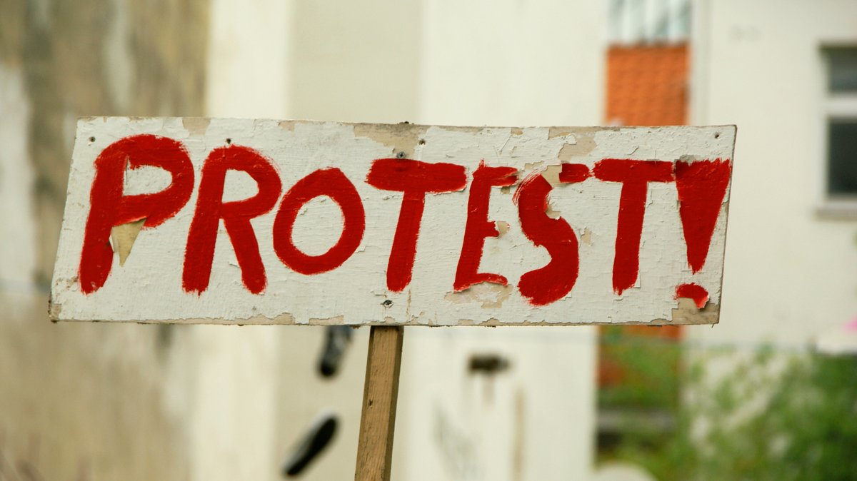 The 1981 Springbok tour of New Zealand