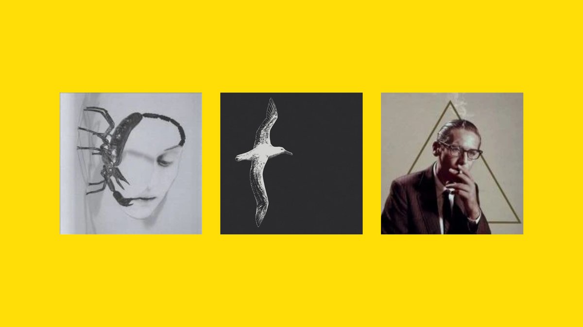 New Music for November