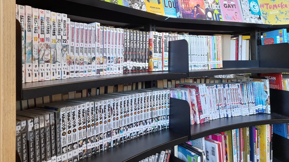 Manga Bibliothek